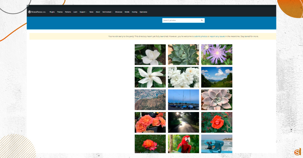 Fotos gratuitas de WordPres - Biblioteca - Servicios Digitales